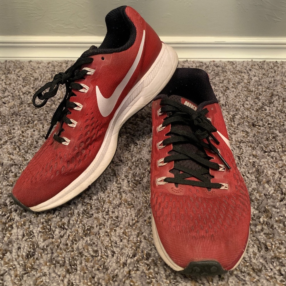 Red Team Nike Pegasus - Gem
